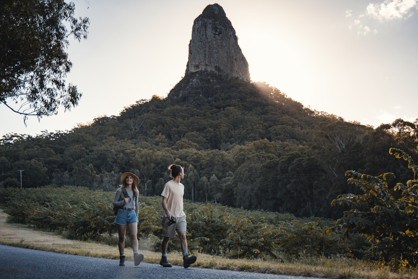 Hinterland Walks - Sunshine Coast Hinterland